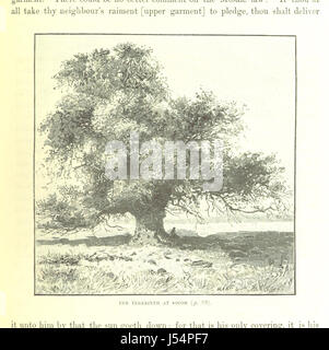 This illustrated work provides visual representations of various ...