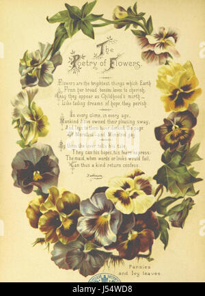 This book explores the symbolism and artistic representation of flowers ...