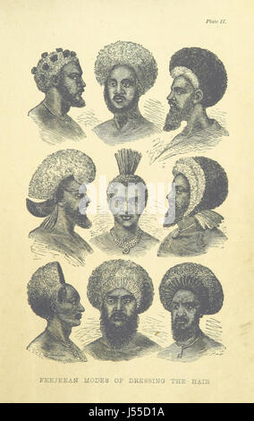 *Evolution of Civilization* explores the development of human society ...