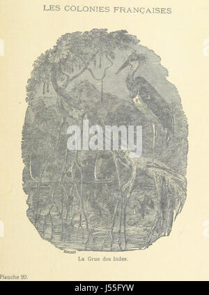 This work discusses French colonization in the New Hebrides, detailing ...
