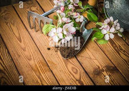 Branch of blossoming apple and garden tools on a wooden surface Stock ...