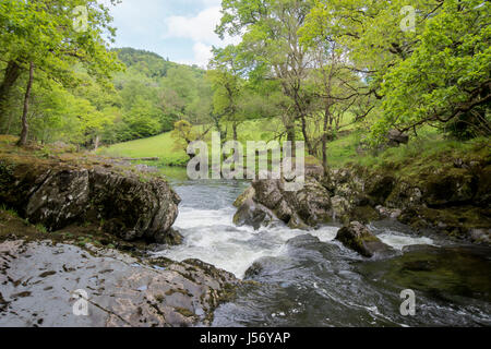 Afon Lledr (River Lledr), the river flowing through the scenic Lledr ...