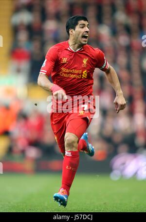 LUIS SUAREZ LIVERPOOL FC LIVERPOOL FC ANFIELD LIVERPOOL ENGLAND 23 ...