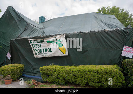 Tent fumigation of home Stock Photo - Alamy