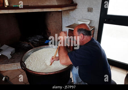 Sassari, Sardinia. Handmade cheese processing Stock Photo - Alamy