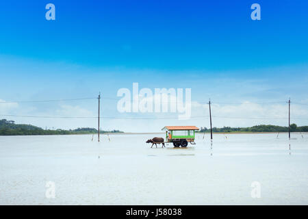 Scenery in Yubu Island, Okinawa Prefecture, Japan Stock Photo - Alamy