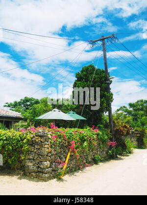 Townscape in Taketomi Island, Okinawa Prefecture, Japan Stock Photo - Alamy