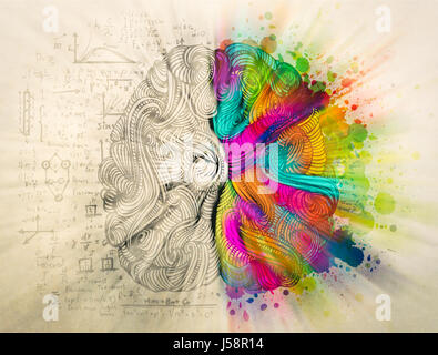 Brain doodle concept about creative right side and logical left side ...