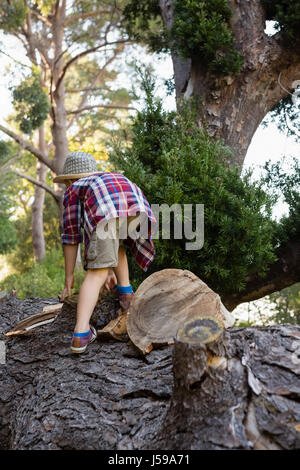 Rear view of boy climbing on yellow wall Stock Photo - Alamy
