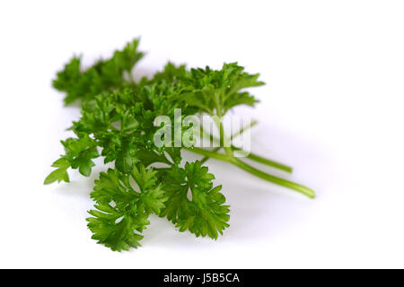 parsley garnish greens condiment ornament decoration parsley savoury ...