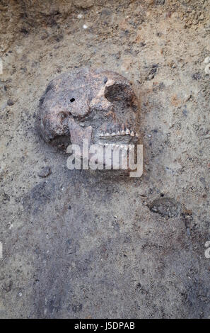 Human skeletons half-buried in volcanic mud, victims fleeing the ...