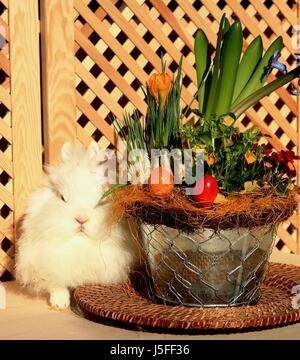 soon is easter Stock Photo - Alamy