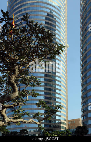 Fort Colombo Sri Lanka Frangipani Tree outside Dutch Hospital Shopping ...
