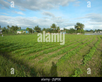 This image shows Sitio Hulo, Hilerang Patubig, and Tagulod in Candaba ...