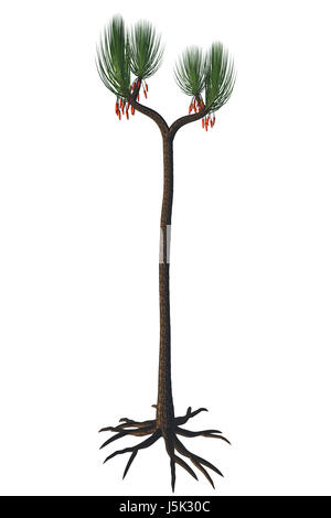 This botanical illustration from 'The Natural History of Plants' shows ...