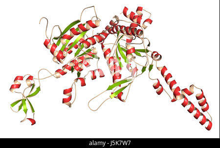 Integrin alpha-4 beta 7 (a4b7, headpiece). Cell surface protein complex ...