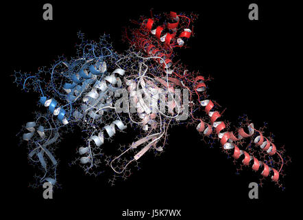 Integrin alpha-4 beta 7 (a4b7, headpiece). Cell surface protein complex ...