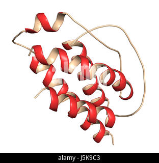 Interleukin 2 (IL-2) cytokine protein. Aldesleukin is a recombinant ...