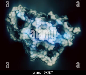 Structure of human interleukin-1 alpha, 3D cartoon model isolated with ...