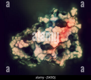 Structure of human interleukin-1 alpha, 3D cartoon model isolated with ...
