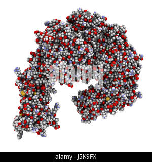 Integrin alpha-4 beta 7 (a4b7, headpiece). Cell surface protein complex ...