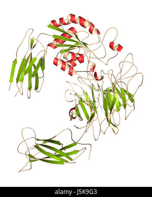 Integrin alpha-4 beta 7 (a4b7, headpiece). Cell surface protein complex ...