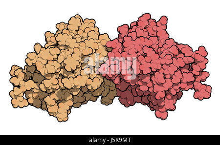 Miraculin (miraculin-like protein from Murraya koenigii or curry tree ...