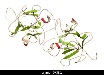 Miraculin (miraculin-like protein from Murraya koenigii or curry tree ...