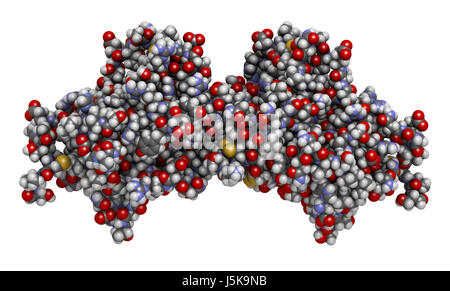 Miraculin (miraculin-like protein from Murraya koenigii or curry tree ...