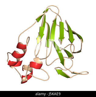 Thaumatin sweetener protein. Isolated from katemfe fruit. 3D rendering ...