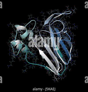 Thaumatin sweetener protein. Isolated from katemfe fruit. 3D rendering ...