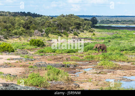 The Olifants River near Kruger Park and Phalaborwa on the border ...