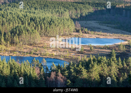 View over Uath Lochans at Glen Feshie in Scotland Stock Photo - Alamy