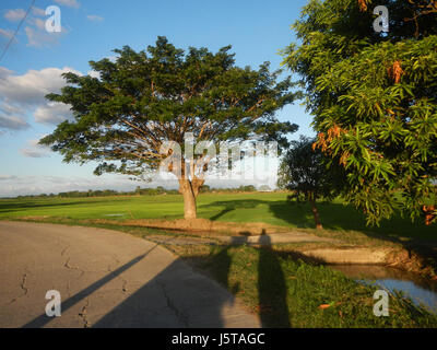 This image shows the Cuayang Bugtong Welcome Arch in Candaba, Pampanga ...