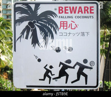 'BEWARE FALLING COCONUTS' sign in Honolulu, Hawaii Stock Photo - Alamy