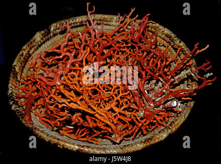Sardinia: Alghero - red coral jewelry Stock Photo - Alamy