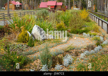 decorative alpine slide, landscape design - decorative plants in the ...