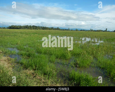 Sitio Pinagpala Extension, located in Bulualto, San Miguel, Bulacan ...