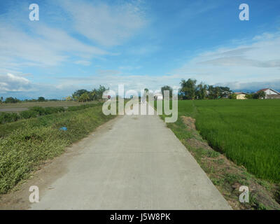 This image represents the agricultural landscape of Sitio Matabubok ...