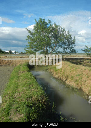 A rural scene in Sitio Pinagpala Extension, Bulualto, San Miguel ...