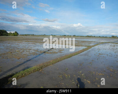 00357 Sitio Hulo Hilerang Patubig Tagulod Candaba Marelo Gapan Farm ...