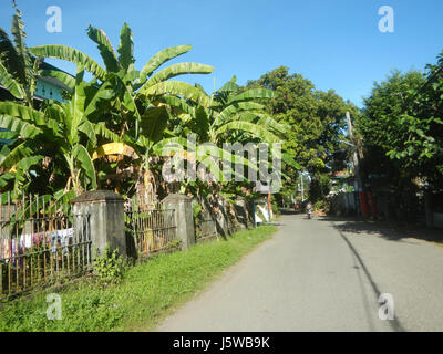 The Poblacion area in San Vicente, San Miguel, Bulacan, is known for ...