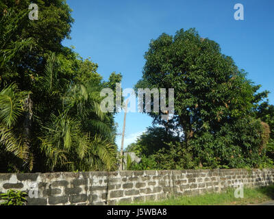 The title references the old houses in Poblacion, San Vicente, San ...
