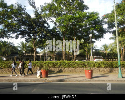The image shows old trees and footbridges in the Makati Park Garden ...