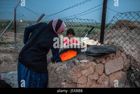 A family makes bread in a mud oven in Khazir refugee camp, Iraq Stock ...