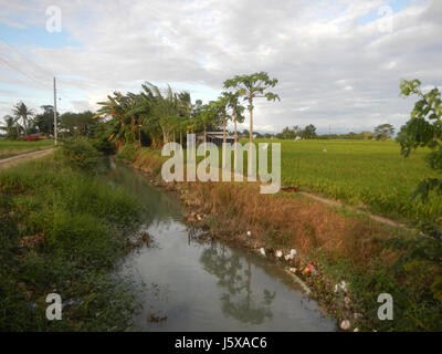 This title describes the agricultural landscape of Pulo, San Isidro ...