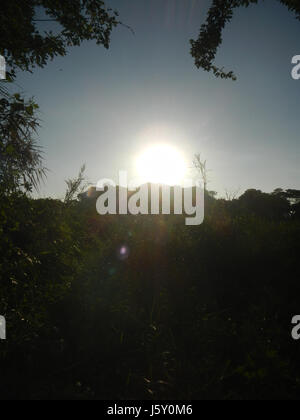 0149 Grasslands maize fields trees Angat River Tiaong, Baliuag San ...