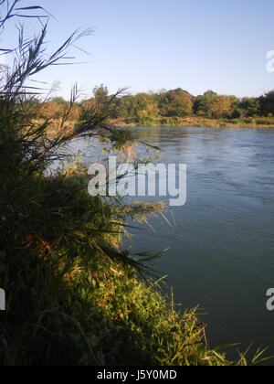 0186 Grasslands maize fields trees Angat River Tiaong, Baliuag San ...