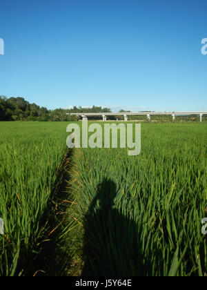 Aerial view of San Rafael, Bulacan, highlighting its 35 barangays ...