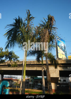 Circumferential Road 9 and its connection with the Bagong Ilog Pasig ...